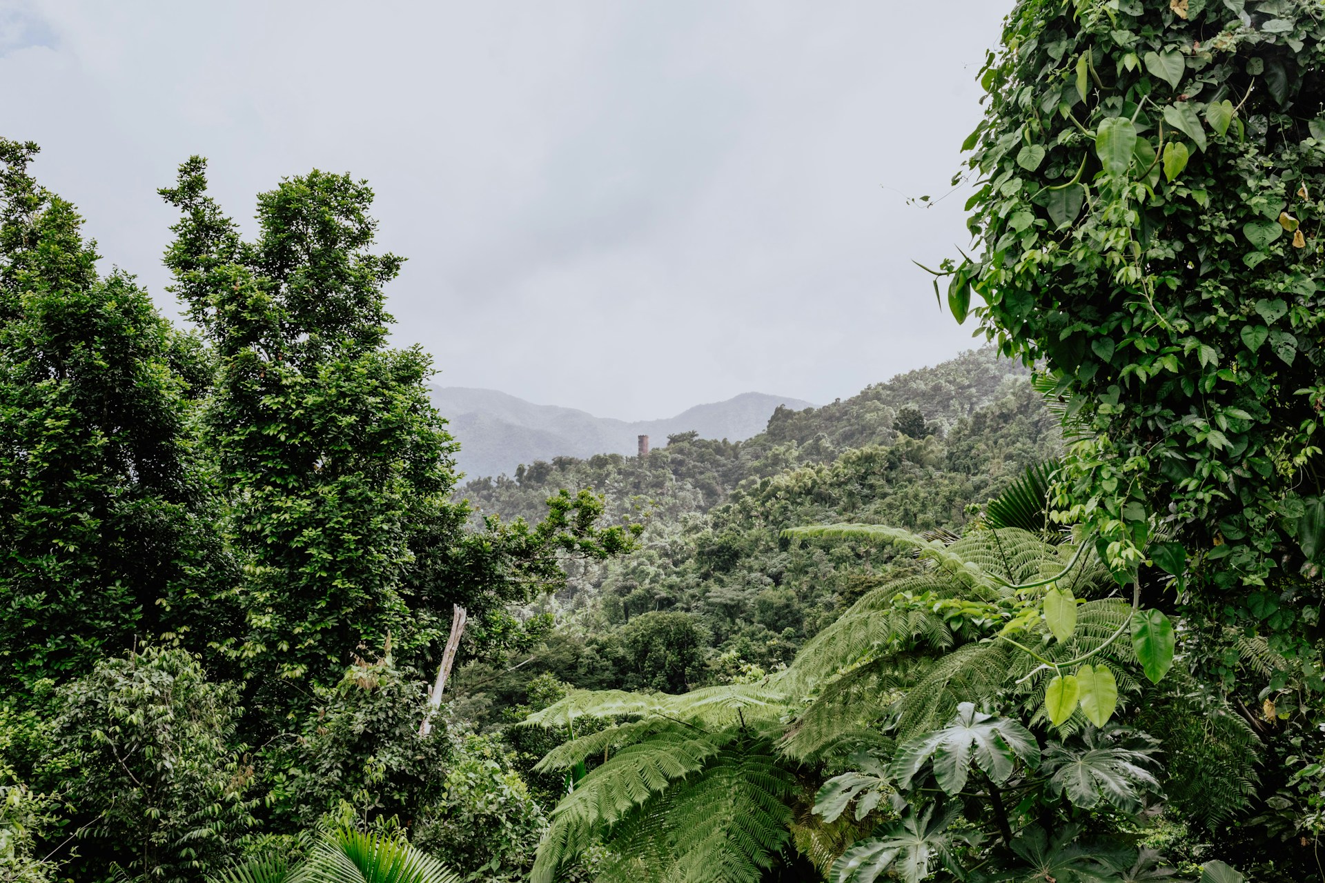 14 Top Things to Do in San Juan - ResortPass | Blog